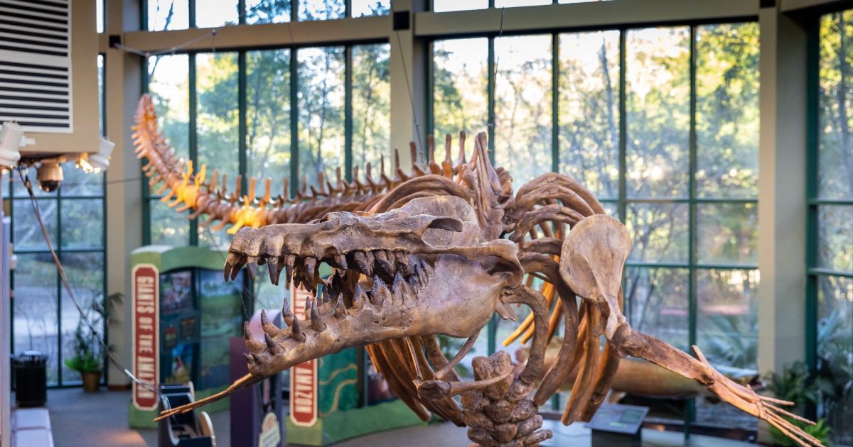 48 Hours in Jackson MS | Visit Jackson