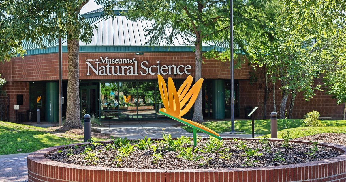 Mississippi Museum of Natural Science Begins Visitor-Forward Renovation ...