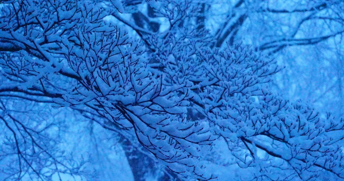 Winter Weather Update | Visit Jackson
