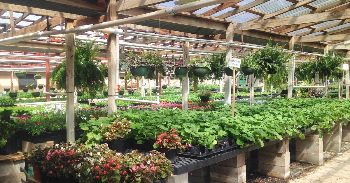 Hutto S Lawn And Garden